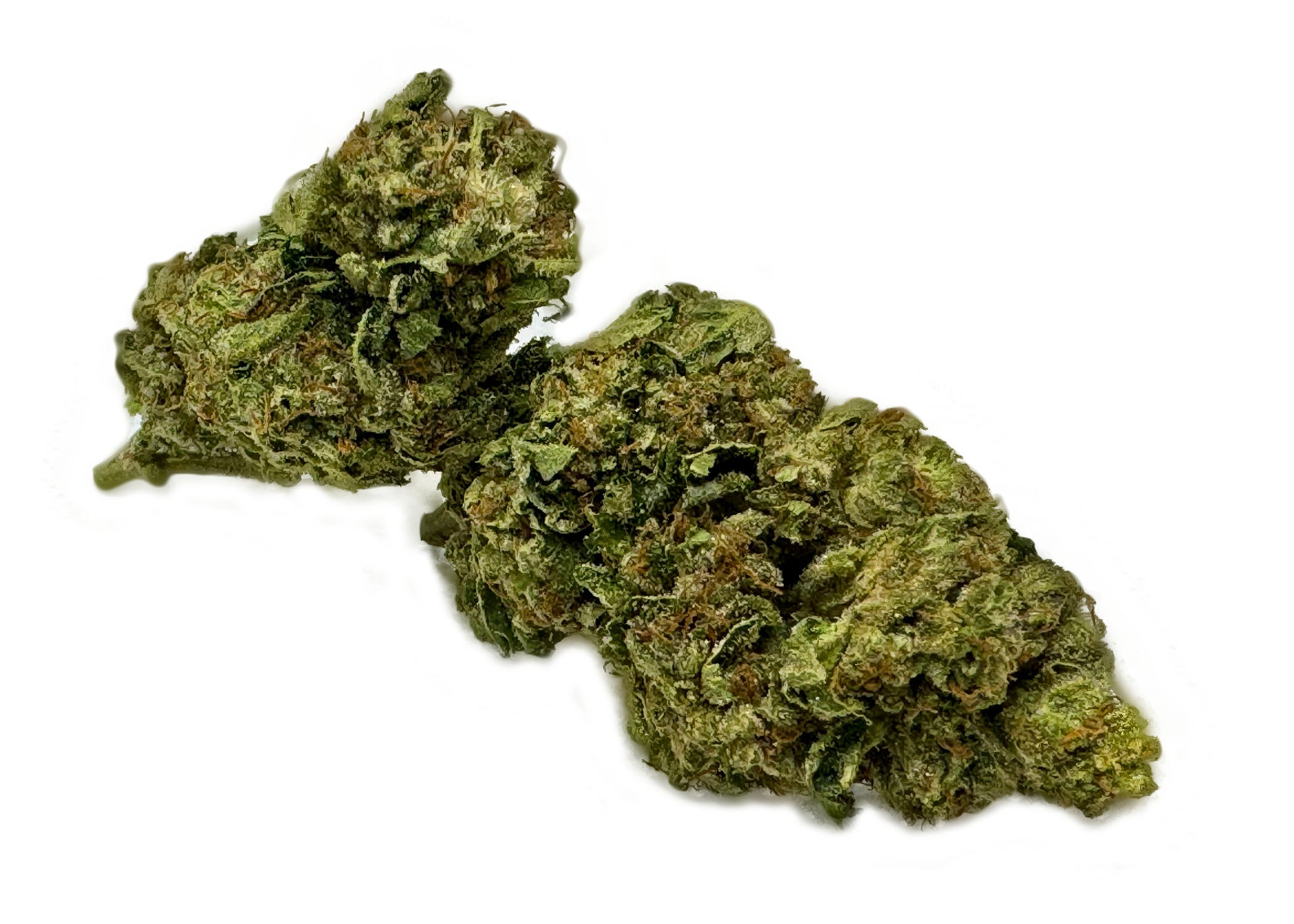 Bubba Kush THCa Flower – The Vape Dispensary Bubba Kush THCa Flower – The Vape Dispensary